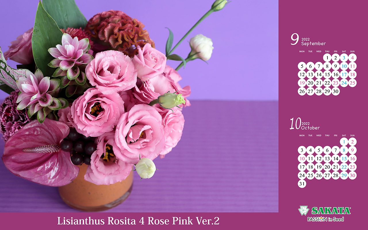 SPECIAL | SAKATA ORNAMENTALS ASIA